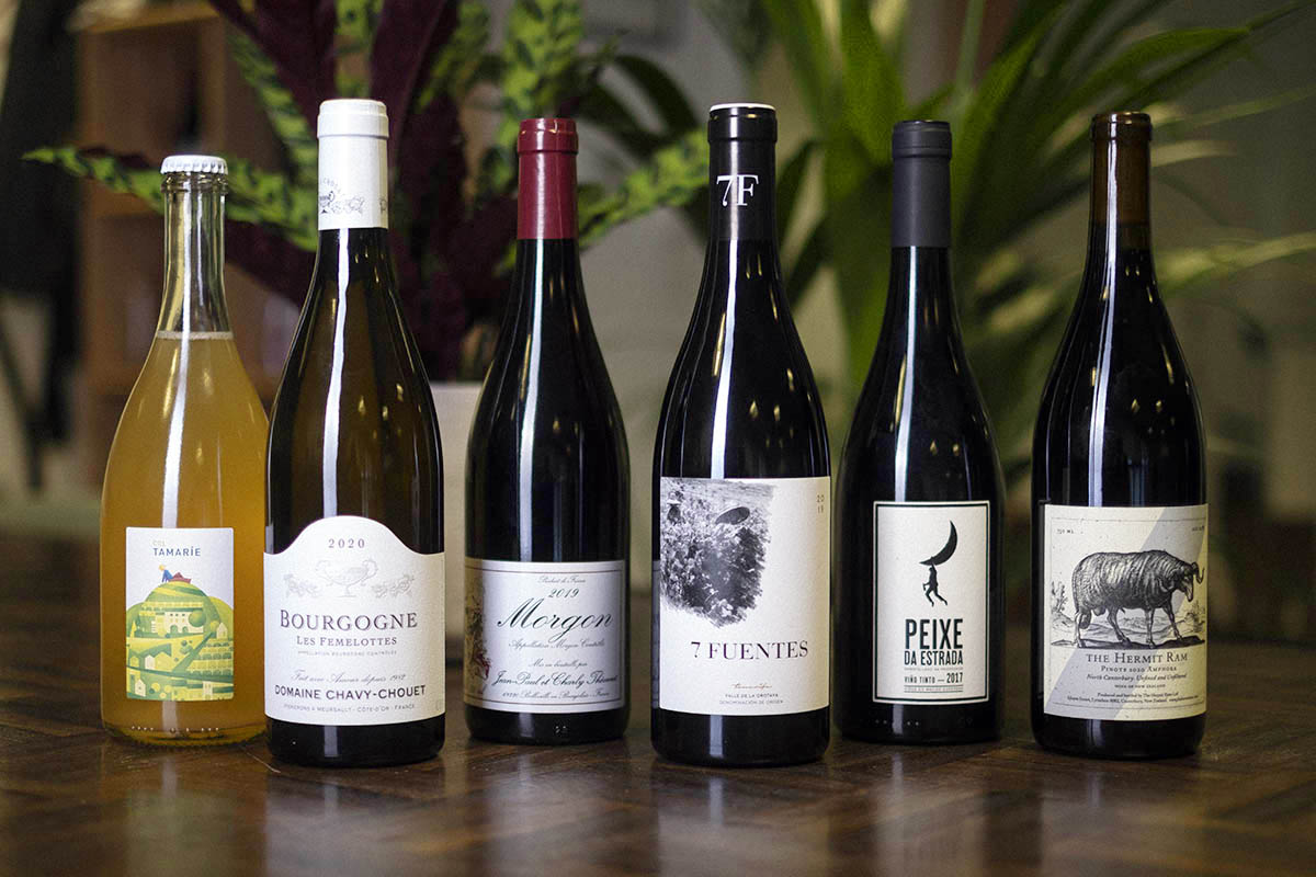 Wine Club | Monthly Wine Subscription | The Sourcing Table – The ...